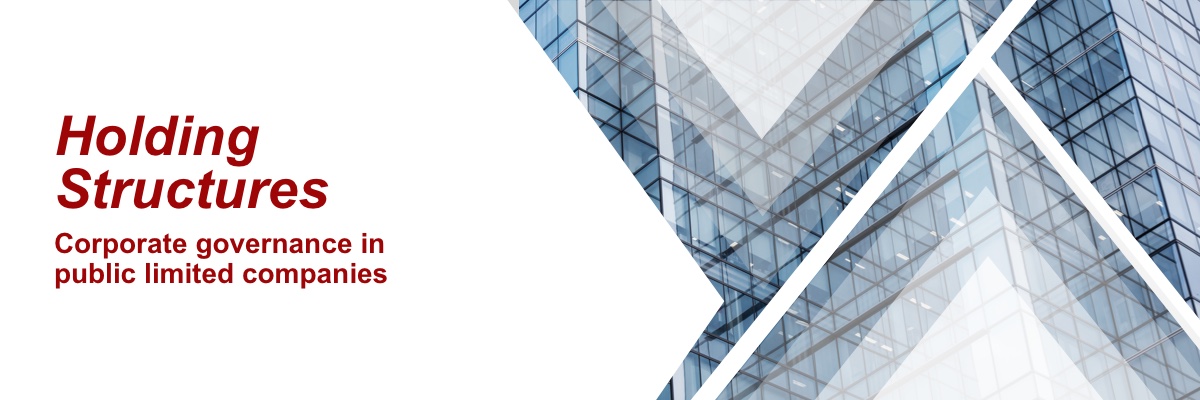 Holdings Structures - Corporate Governance in Public Limited Companies